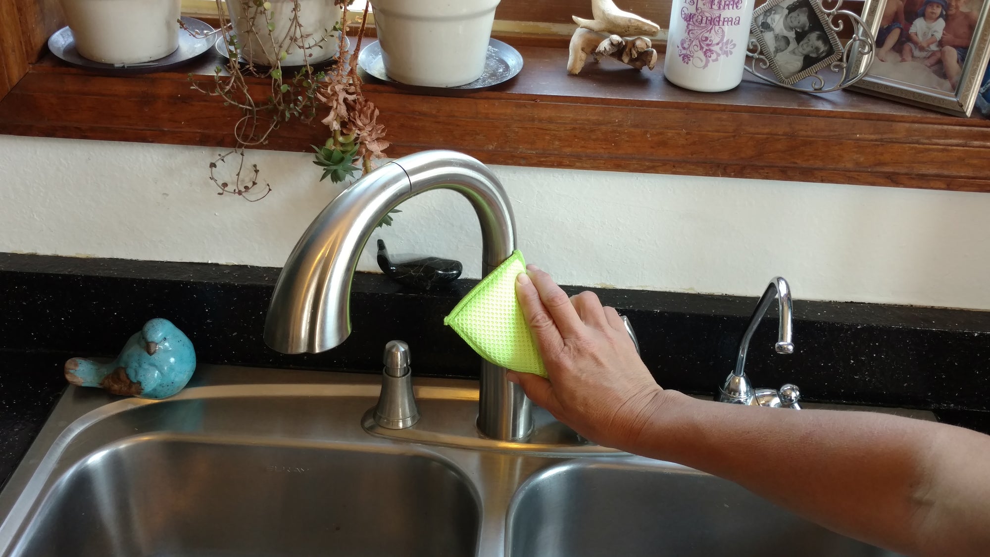 Mold and Mildew Prevention Kit – Everest Microbial Defense